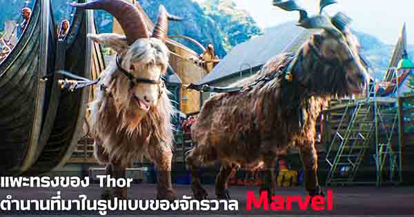 แพะทรงของ Thor ตำนานที่มาในรูปแบบของจักรวาล Marvel